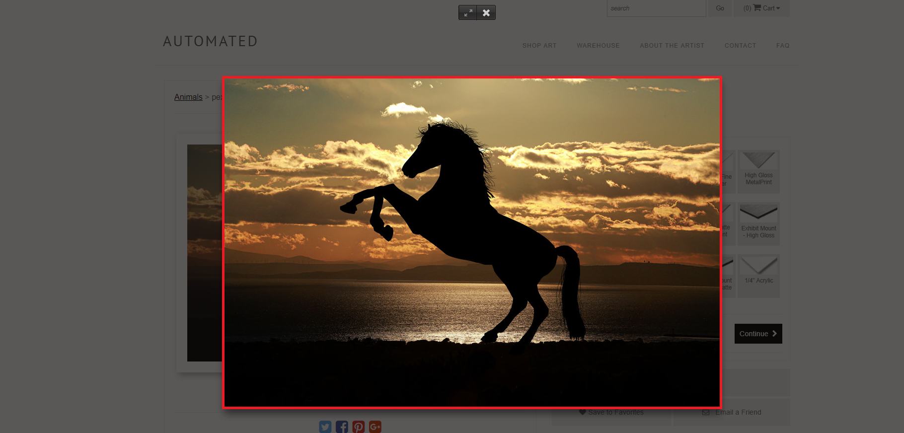 Learn: Everything You Need to Know About Uploading Images to Display in ...