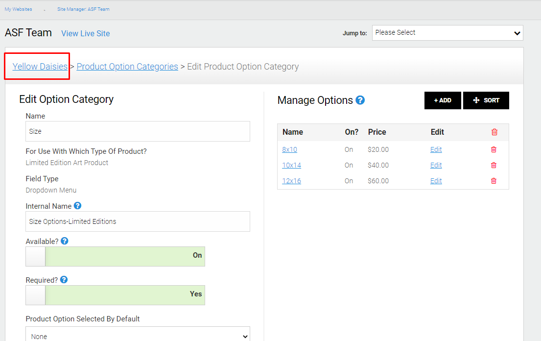How To: Create Product Options (i.e. size or color options) For Items ...